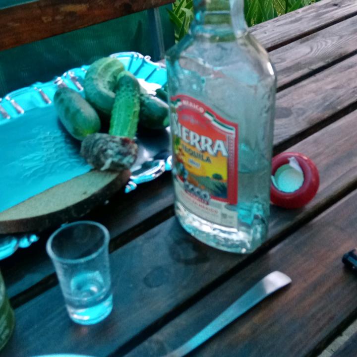 🦄 @tudaa_sudaa - vovkaA3 - TikTok